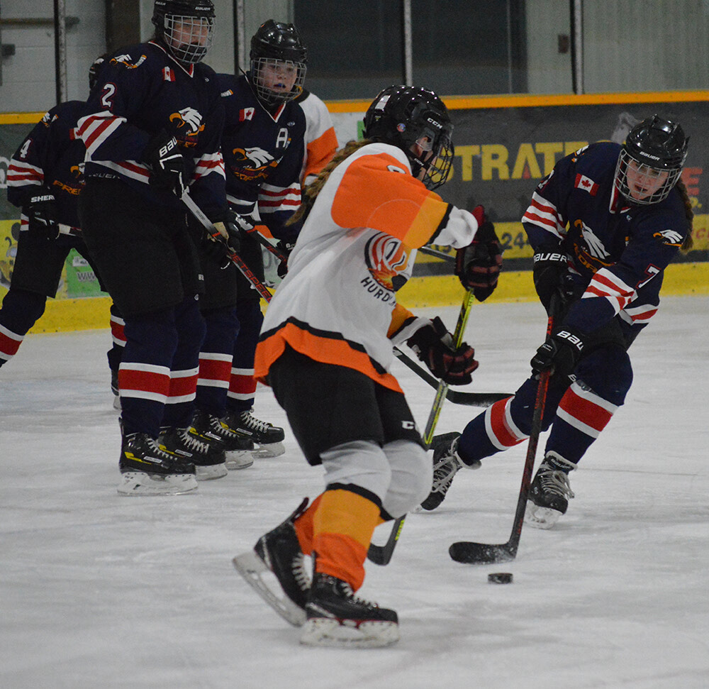 Devilettes Tournament, continuing playoffs await many Huron Heat teams